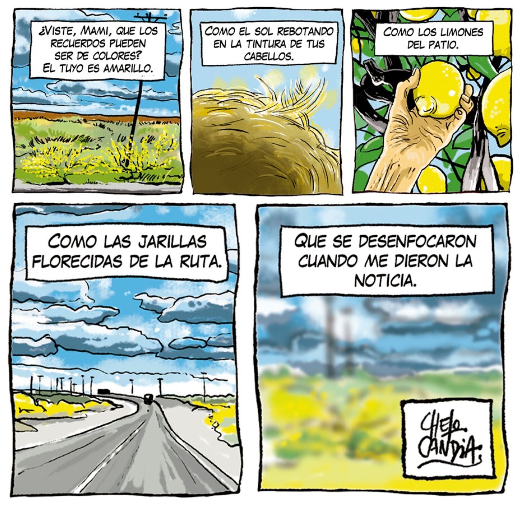 «Las jarillas florecidas de la ruta», la nueva tira de Chelo Candia en ...