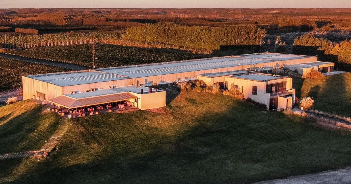 En un finde largo, el mejor plan es pasear por las bodegas de Río Negro ...