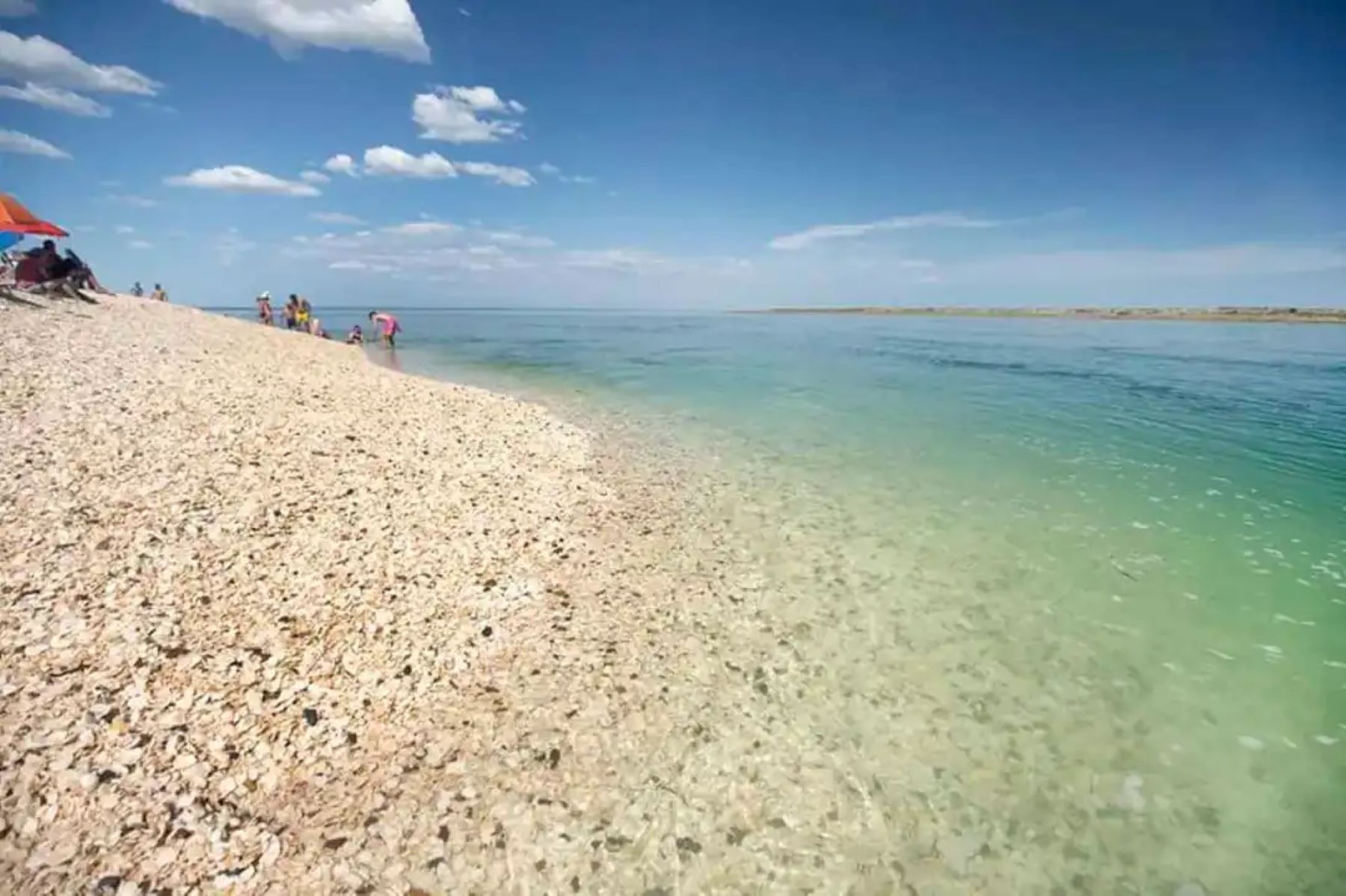 Punta Perdices: descubrí el caribe de la Patagonia, a 65 km de Las ...