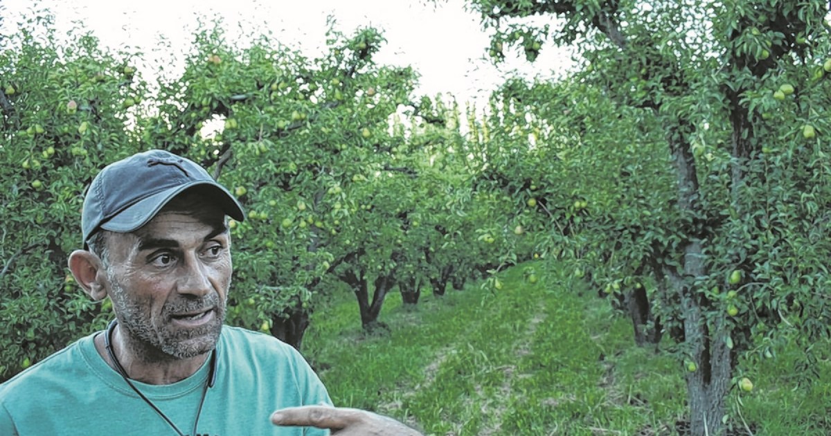 Sebastián Hernández: «Si el productor se va de la chacra es a la fuerza ...