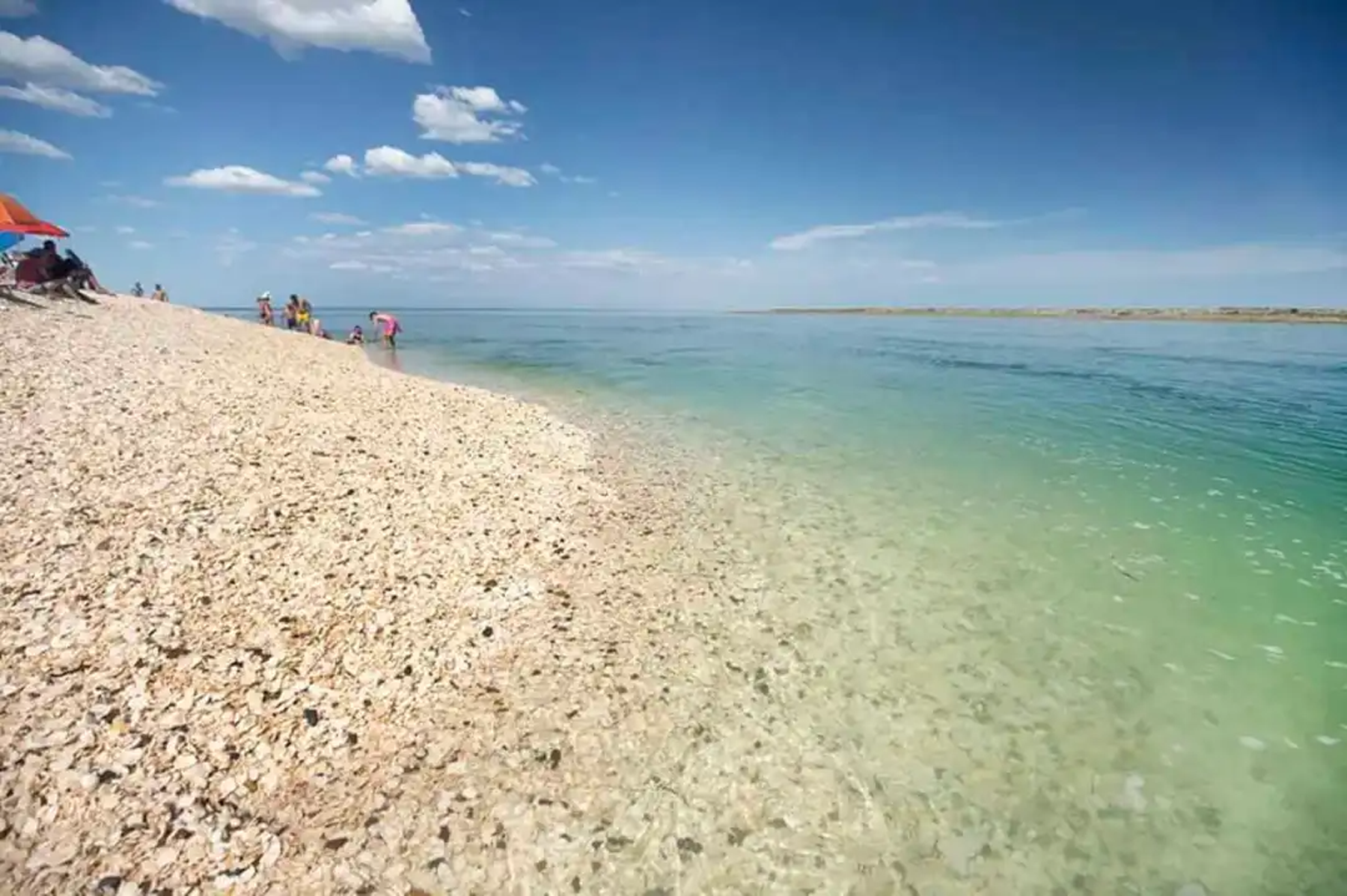 Punta Perdices, La Conchilla y Punta Villarino: cómo es el llamado ...