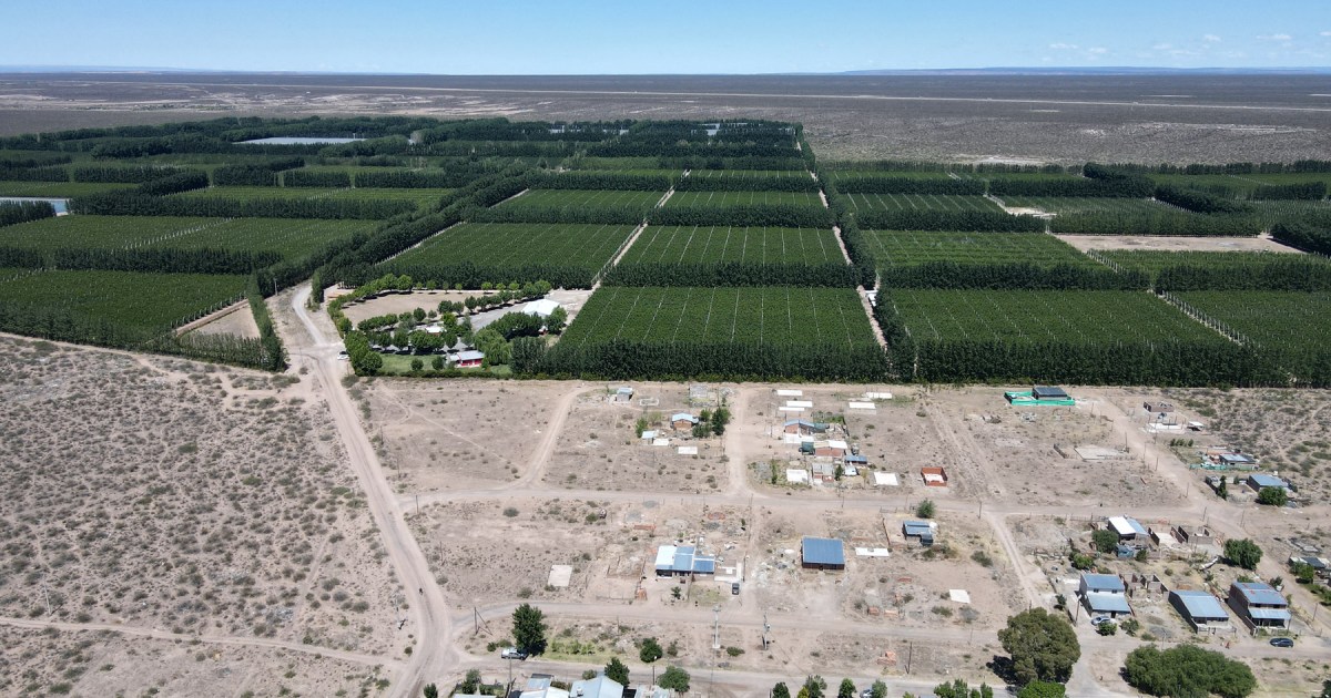 El RIGI de Rolando Figueroa en Neuquén se demora, pero ratifican que la reglamentación “está en ...