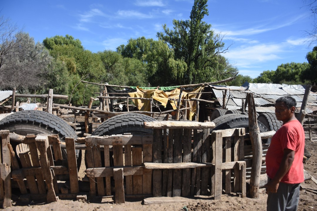 Video | Río bloqueado en Cipolletti, crianceros versus Rodrigo Buteler ...