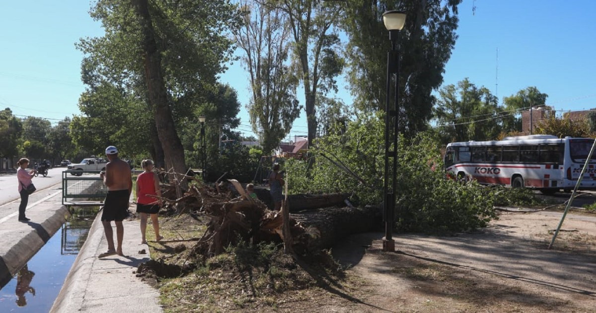 Video | «De los 40 años que tengo como allense, la primera vez que vi ...