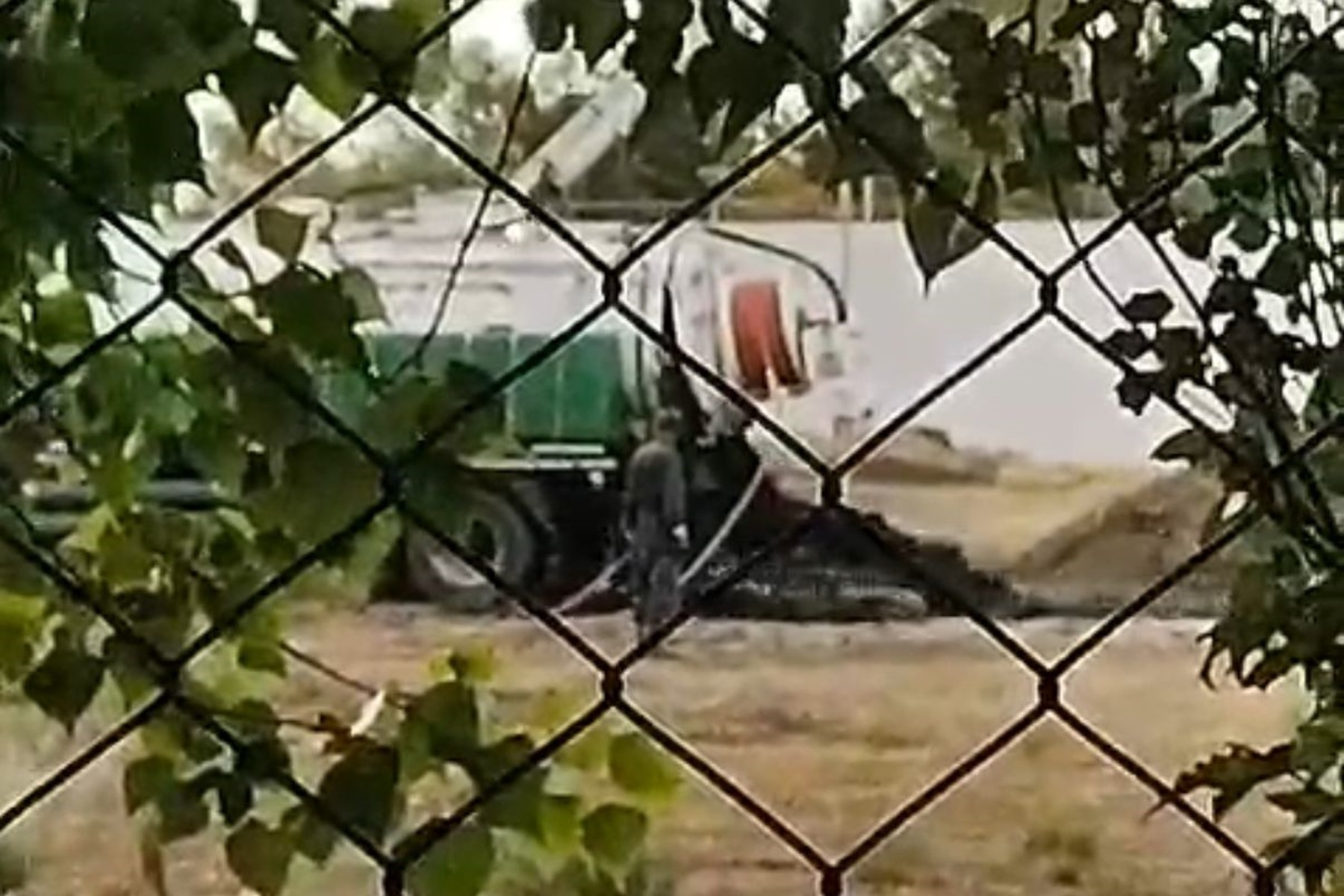 ¡Qué asco! Invasión de moscas en un barrio de Plottier: los vecinos ...