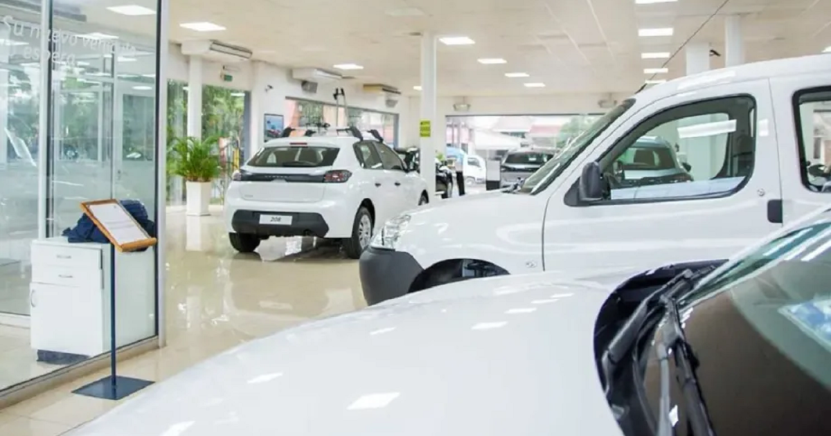 Sin registros del automotor: el Gobierno habilitó la inscripción ...