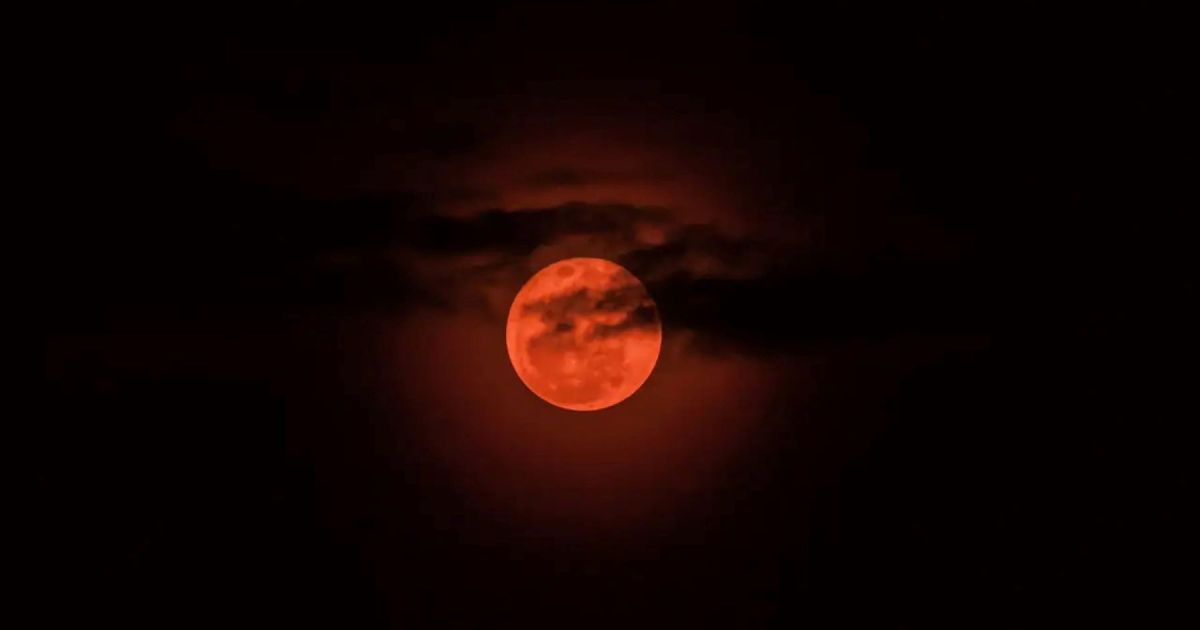 Se aproxima la «luna roja» o «luna de sangre», el eclipse lunar total de marzo 2025 - Diario Río ...
