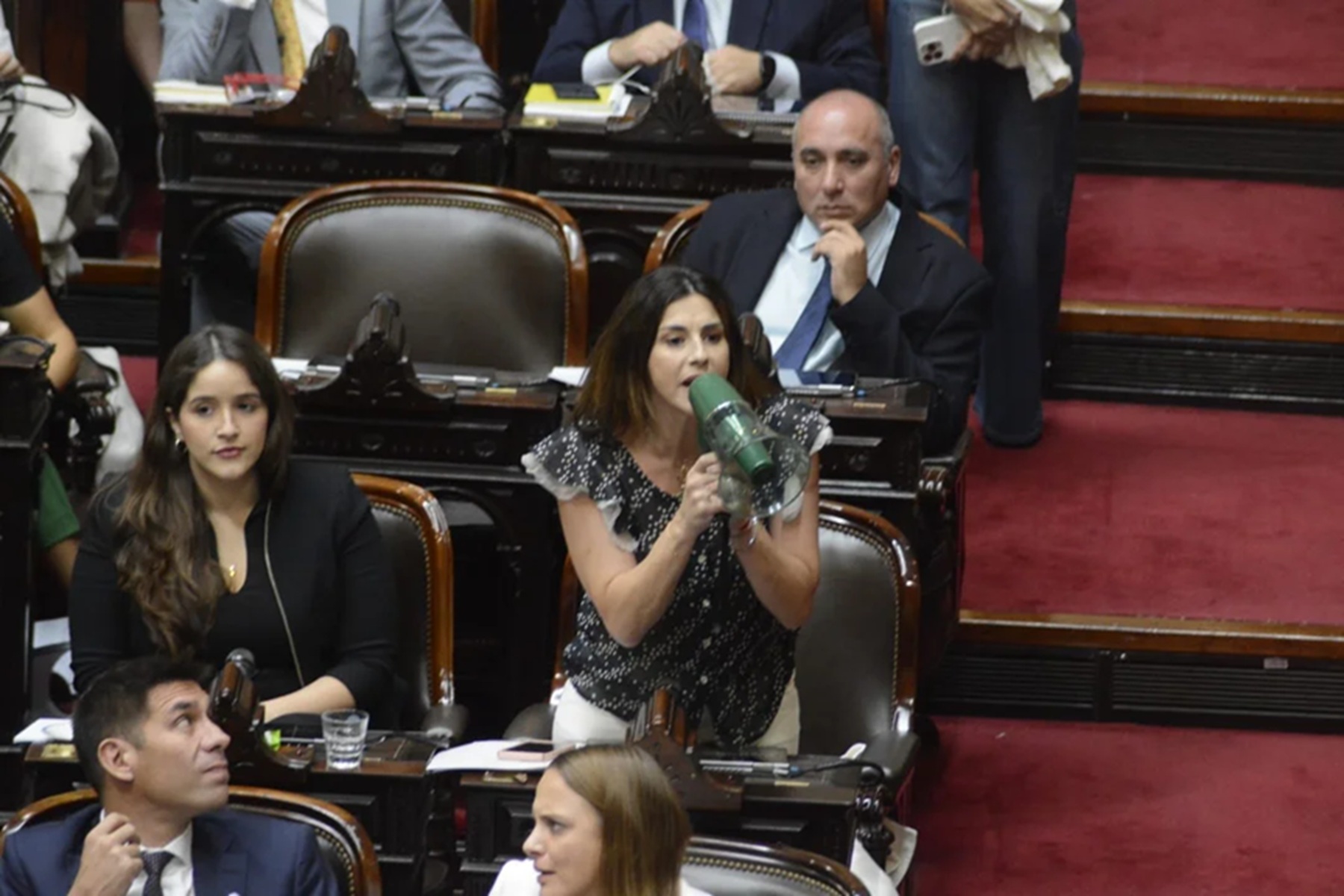 Marcela Pagano, con un megáfono, increpó a Martín Menem en Diputados ...