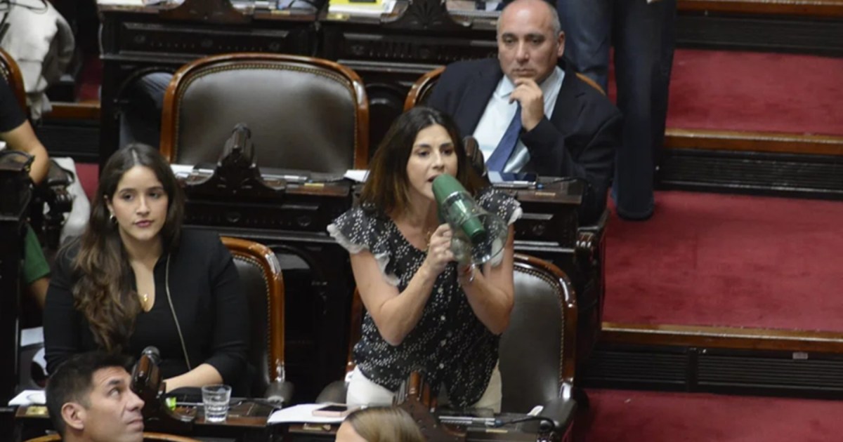 Marcela Pagano, con un megáfono, increpó a Martín Menem en Diputados ...