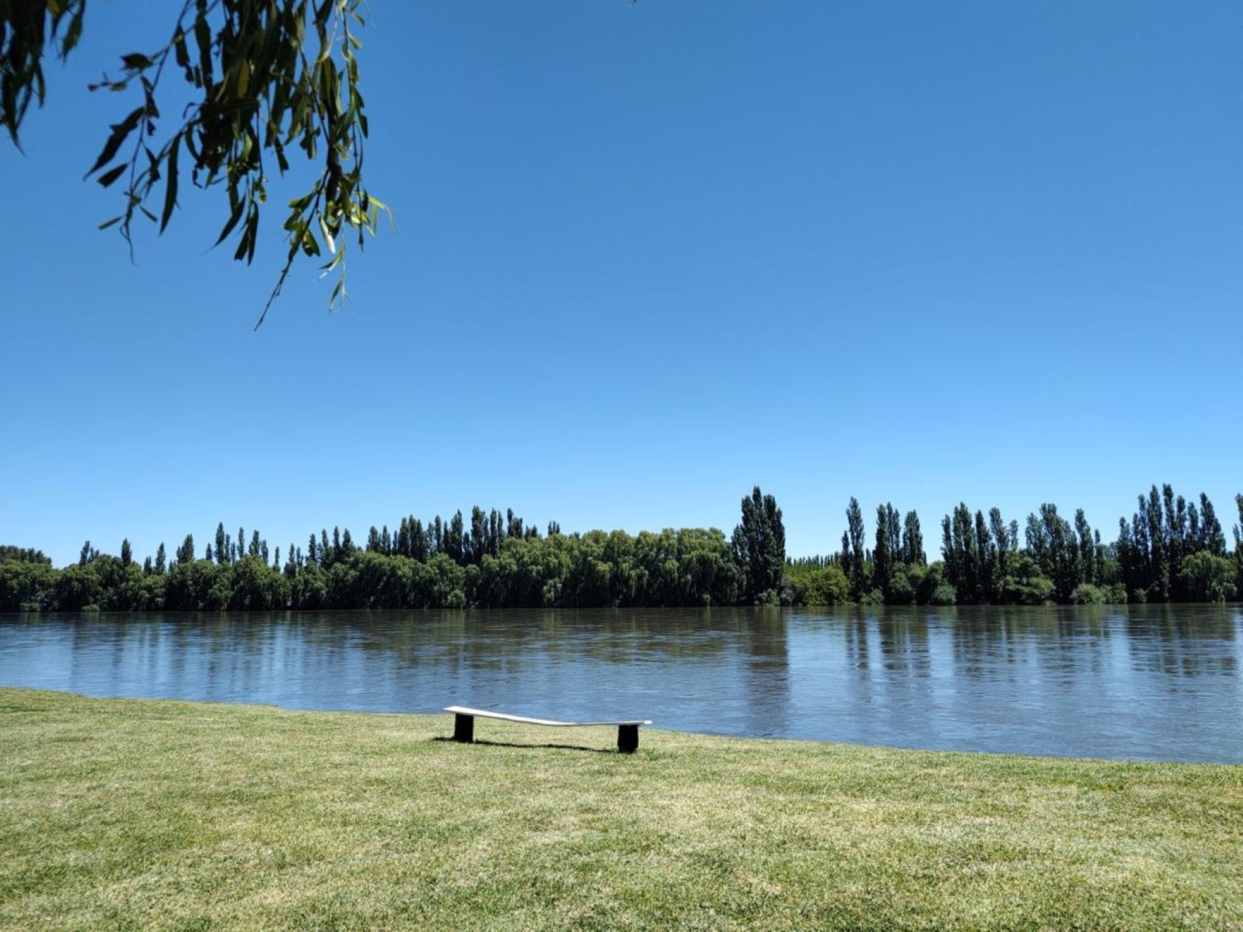 La Isla 92 de Choele Choel: así es el mágico lugar que sorprendió a ...