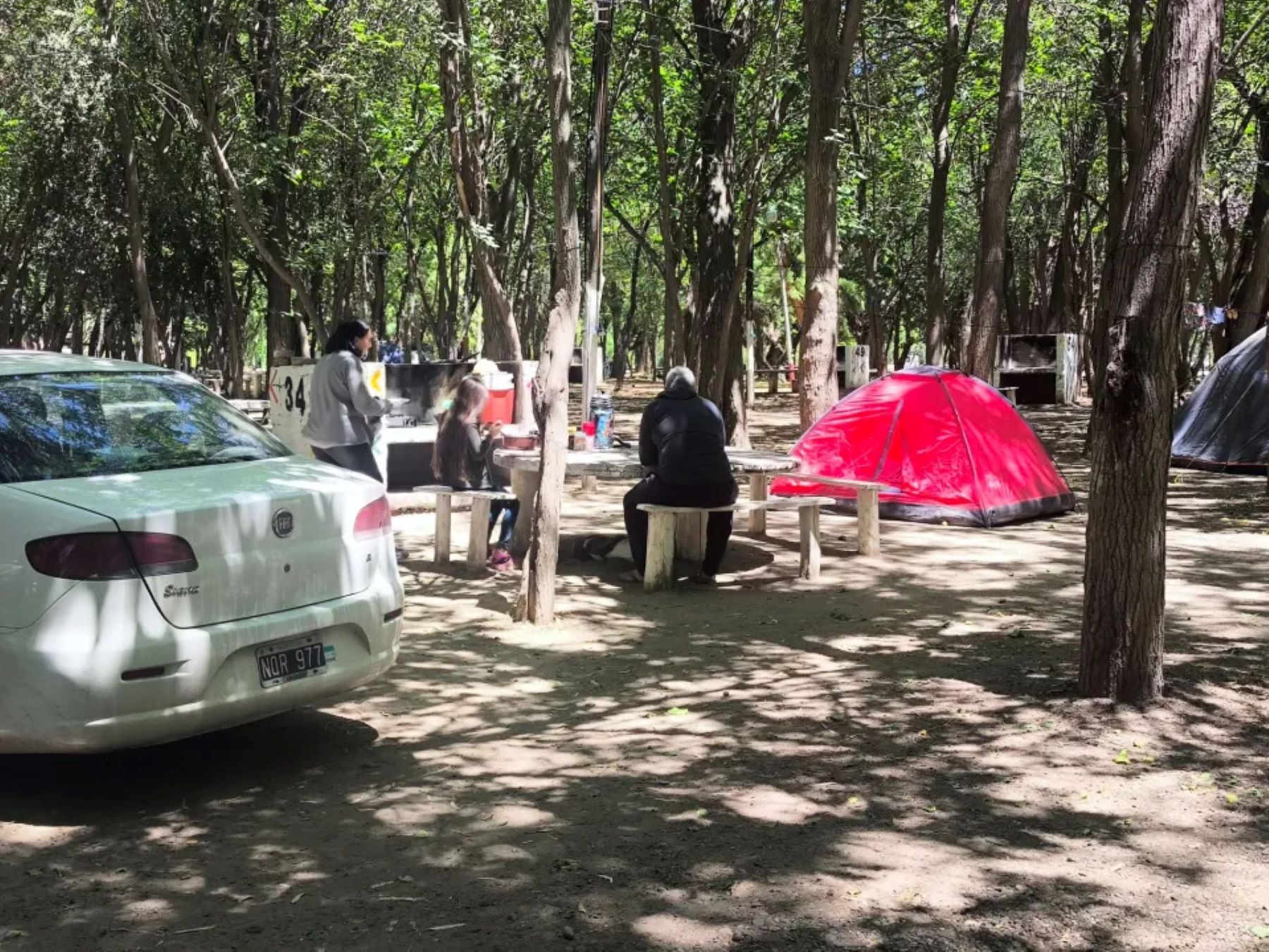 La Isla 92 de Choele Choel: así es el mágico lugar que sorprendió a ...