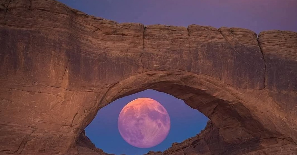 Luna llena rosa: el fenómeno astronómico que se dará en Abril 2025 ...