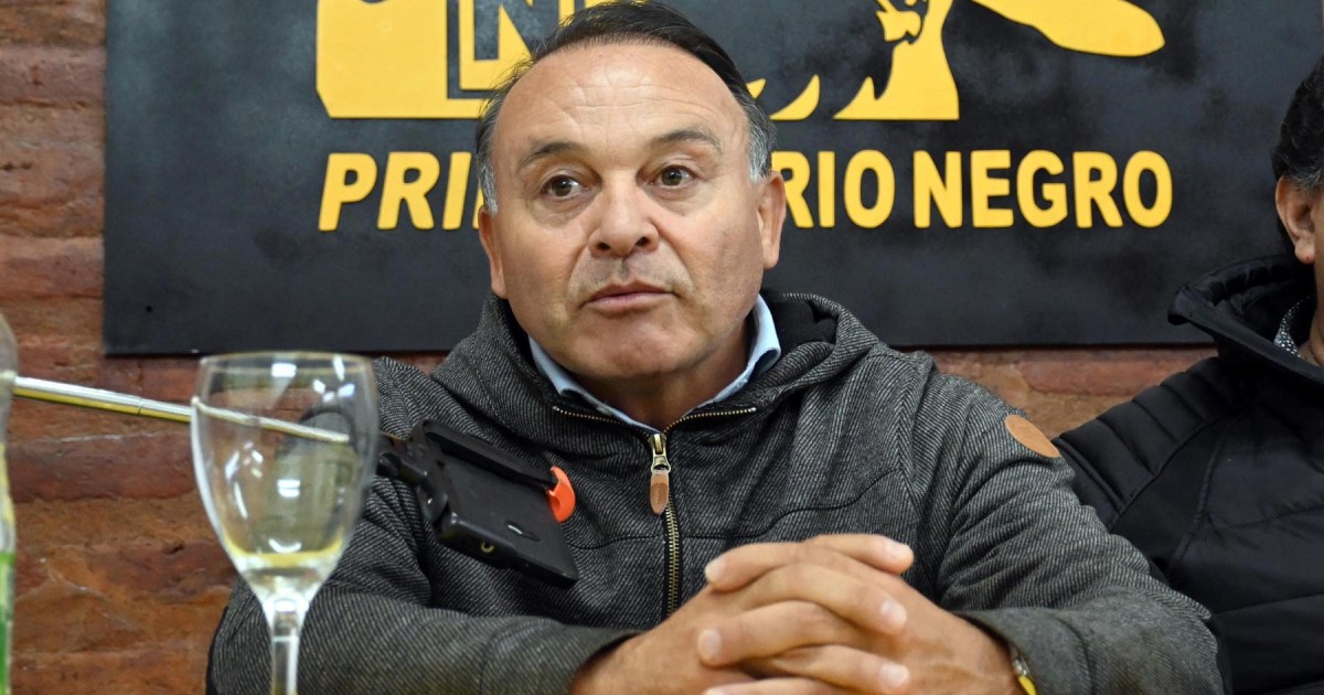 Primero Río Negro convocó a elecciones para regularizar el partido de ...