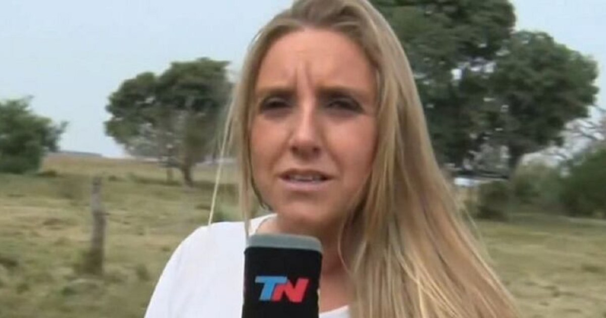 Paula Bernini anunció que dejará de hacer móviles para TN: ¿A qué se ...