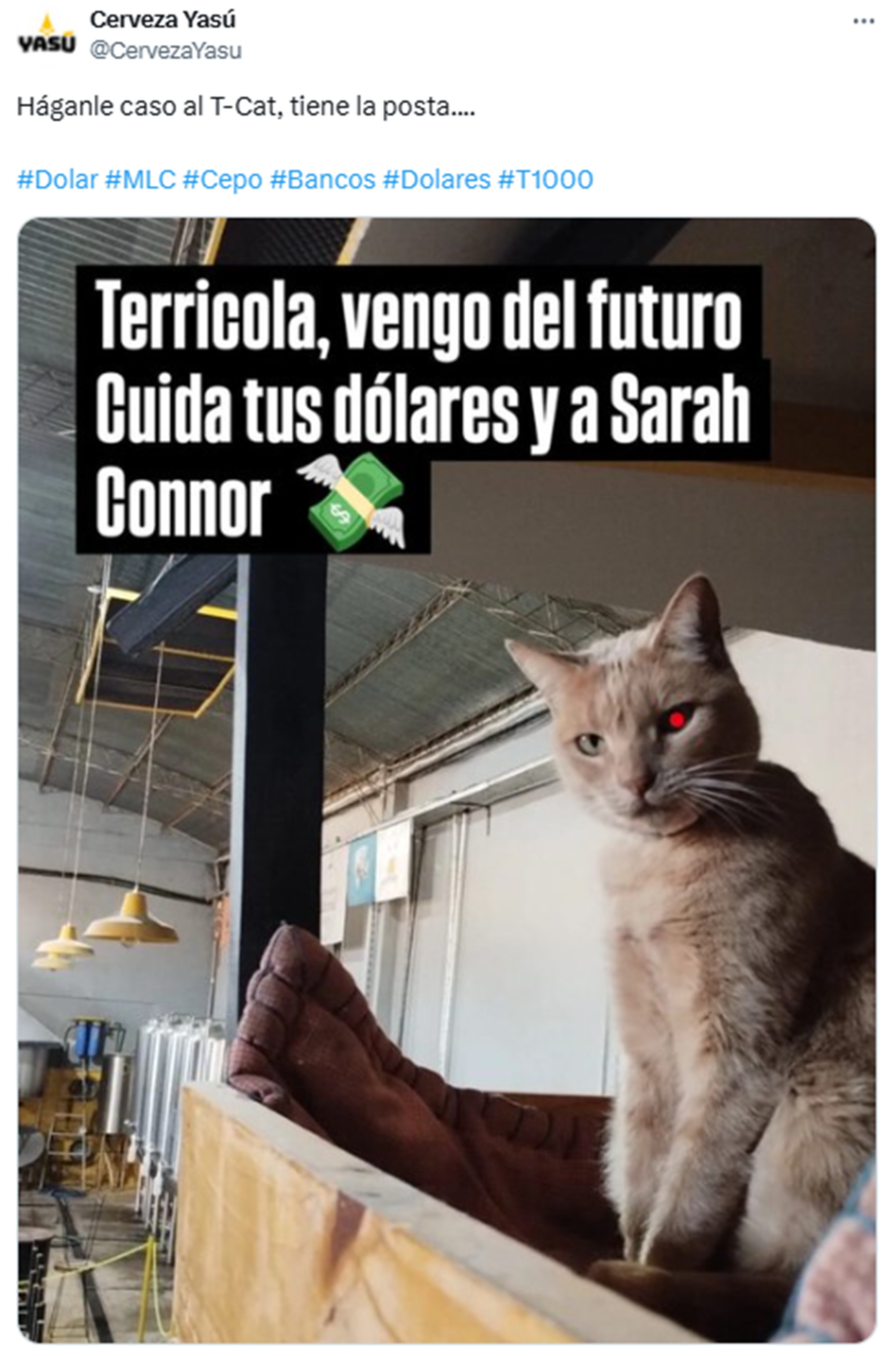 Dólar sin cepo: estos son los mejores memes sobre la medida de Javier ...