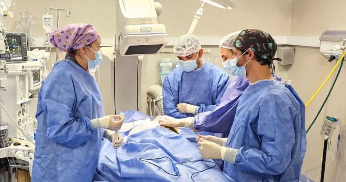 Primera en Neuquén y en la Patagonia: una niña recibió un dispositivo ...