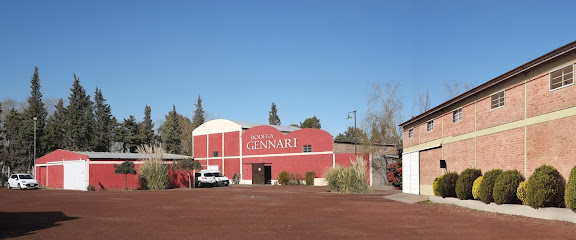 De Fernández Oro al exterior: el legado vitivinícola de la familia ...
