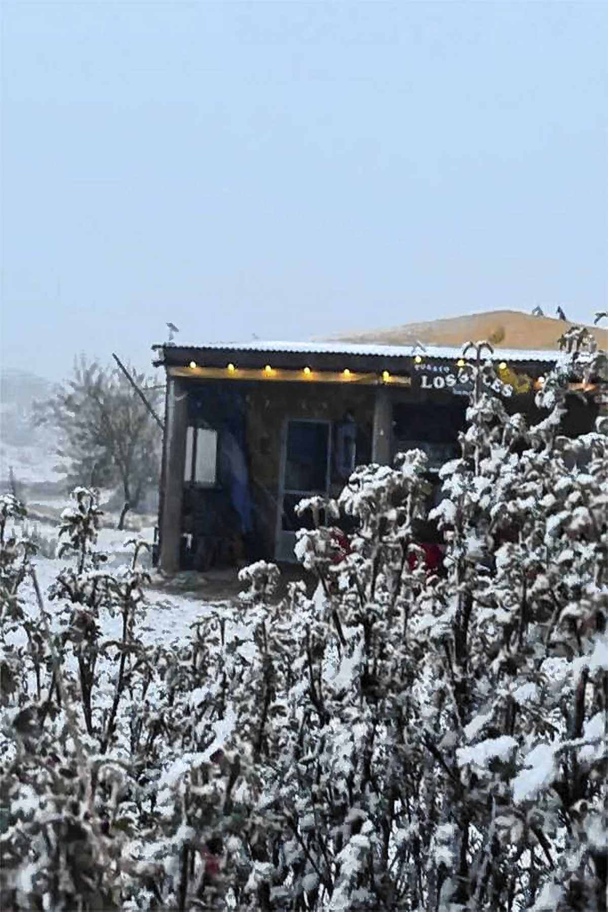 Fotos y video | La nieve sorprendió en Córdoba: muchas localidades se ...