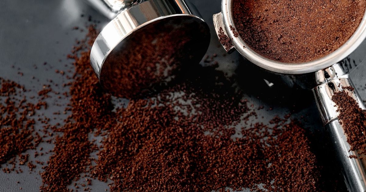 Café reciclado: cómo usar los restos para darle potencia a tus plantas ...
