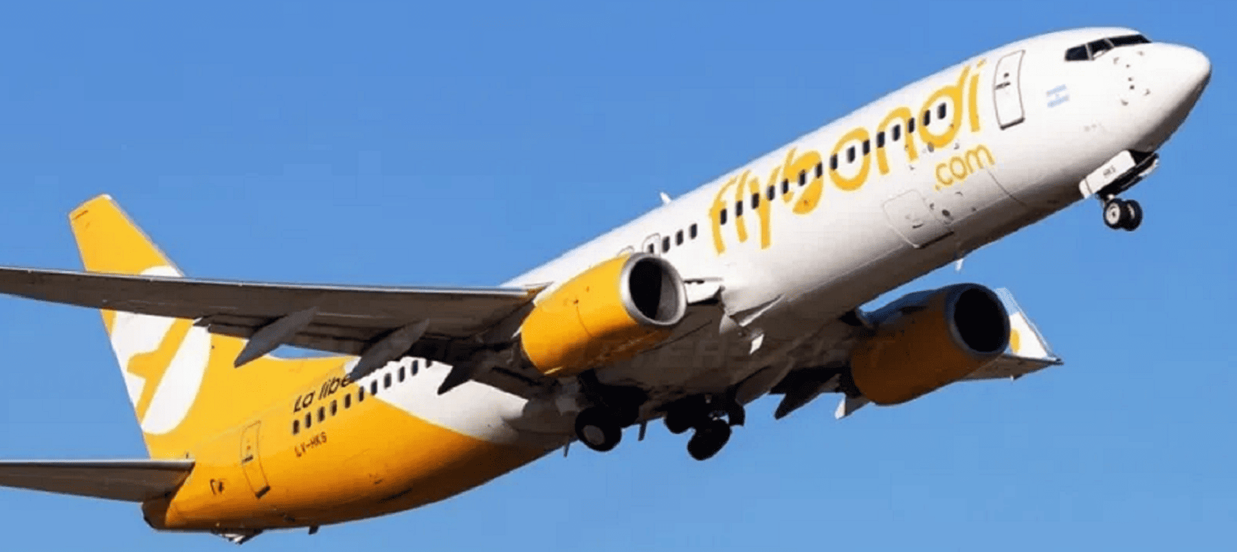 Flybondi se expande: más aviones, rutas y vuelos para la temporada de ...