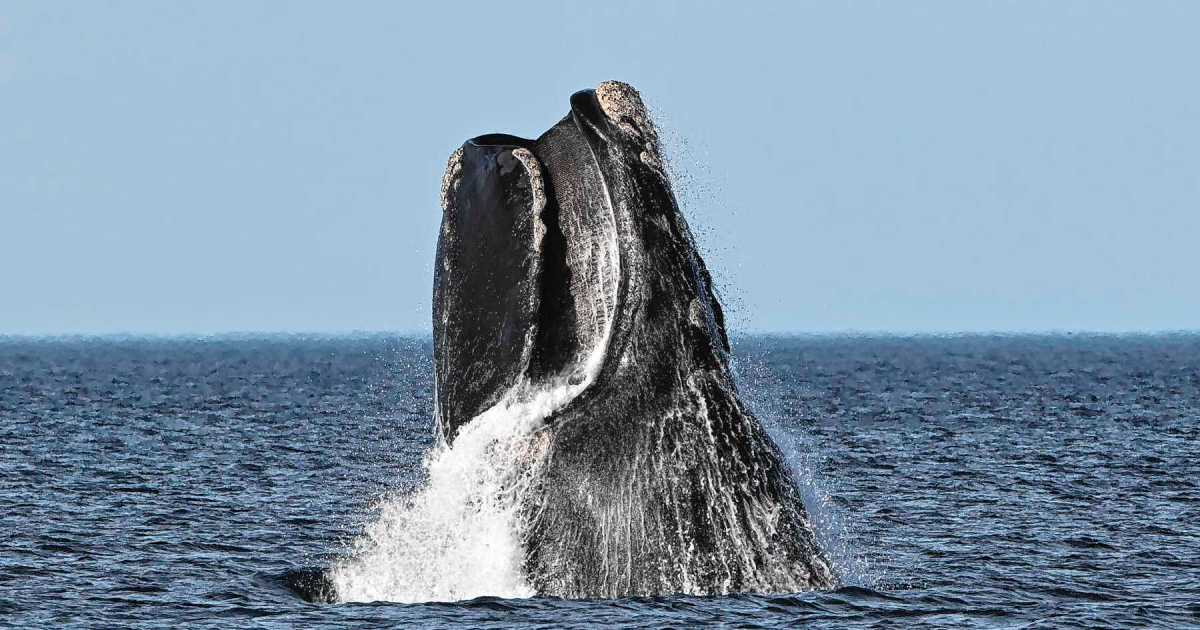 Tana rain nude leak this lady is senior and more