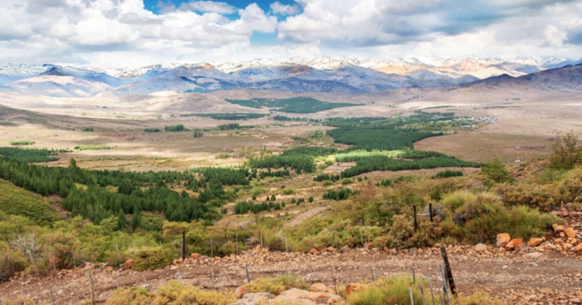 Vacaciones de invierno en Las Ovejas: festival del mate y el pan casero ...