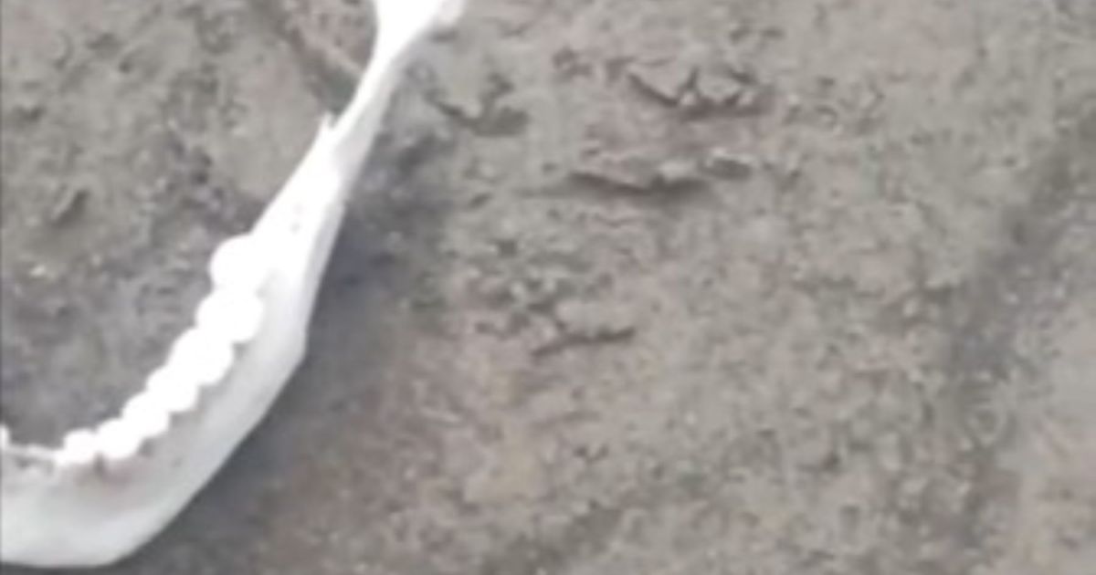 Sixce xxxx at last got time to meet her again.