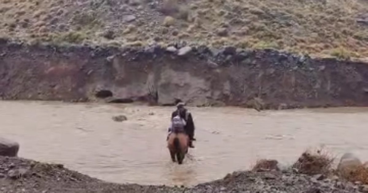 Video | Cruzan el río a caballo para ir a la escuela: el admirable ...