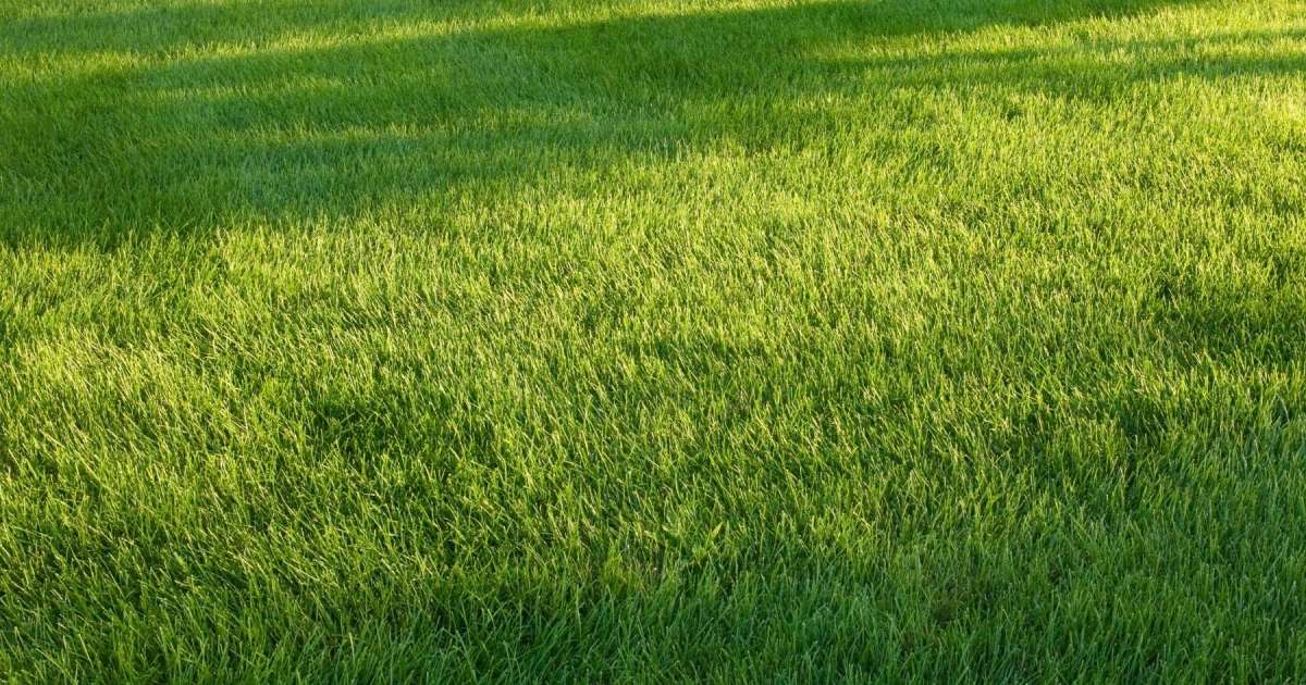 Xxx tante sotwe i have been eager to see Jane for a bit,