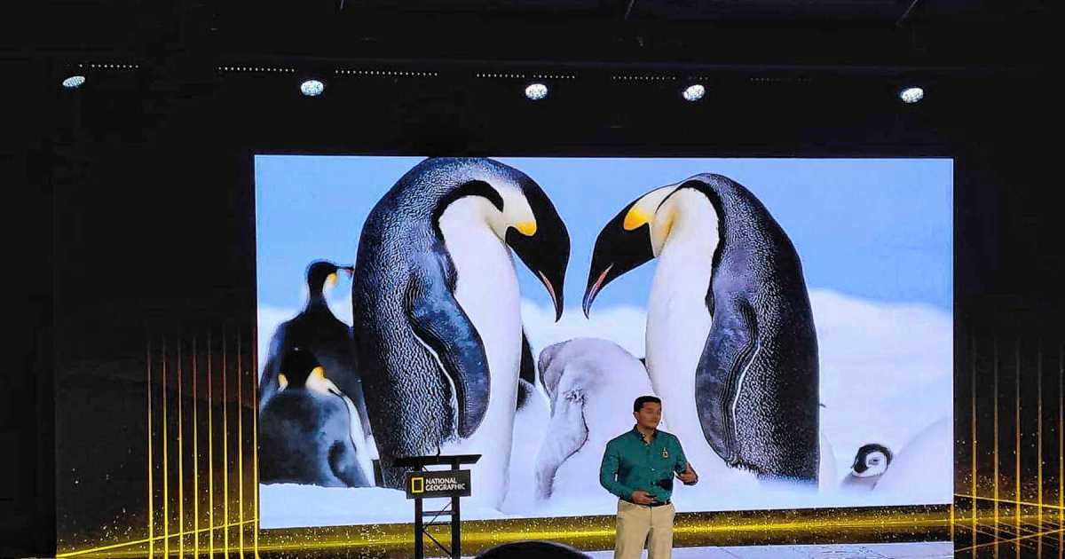 Los pingüinos de la Patagonia en lo más alto: Pablo Borboroglu trajo un ...