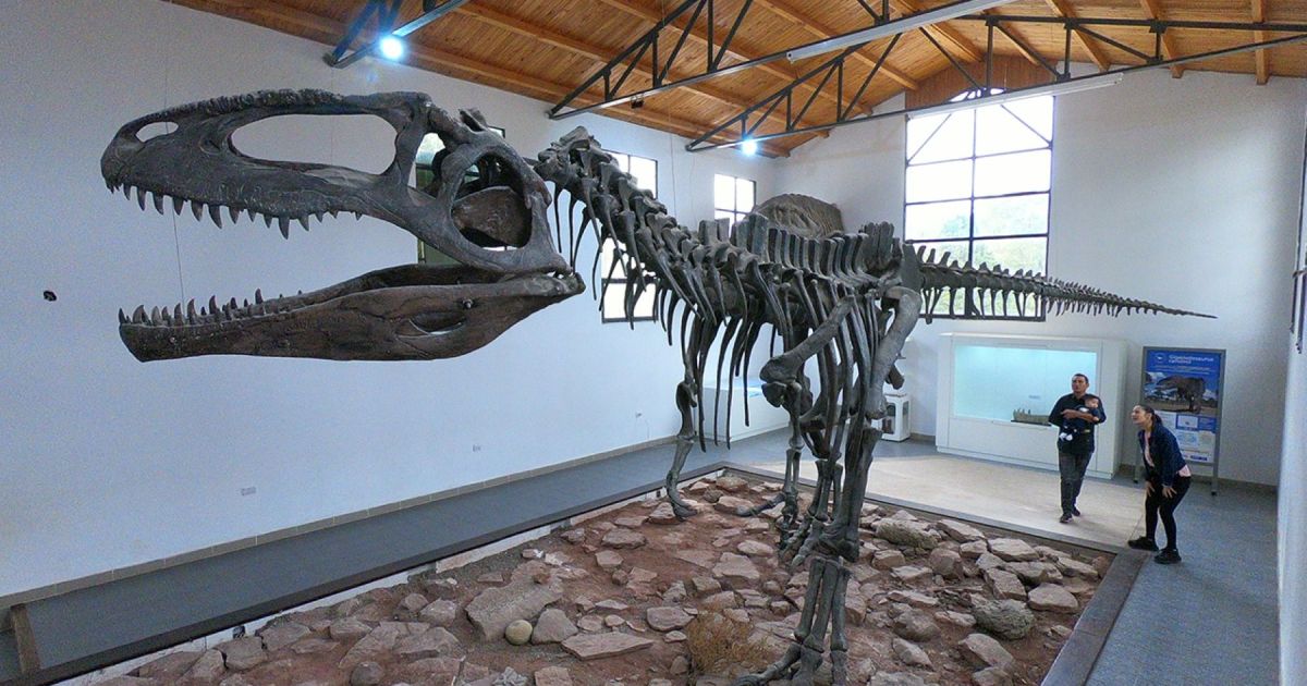 Hace 30 años encontraron en Neuquén el dinosaurio más grande del mundo ...