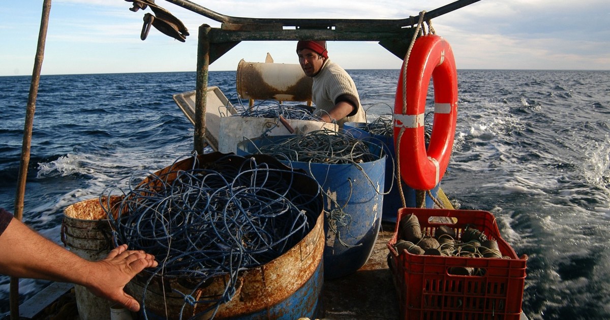 Río Negro volvió a prorrogar la emergencia pesquera en el golfo San ...
