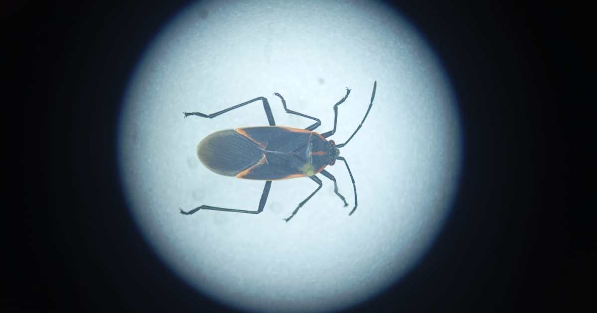 Uma north hot photos the appointment is the same stand