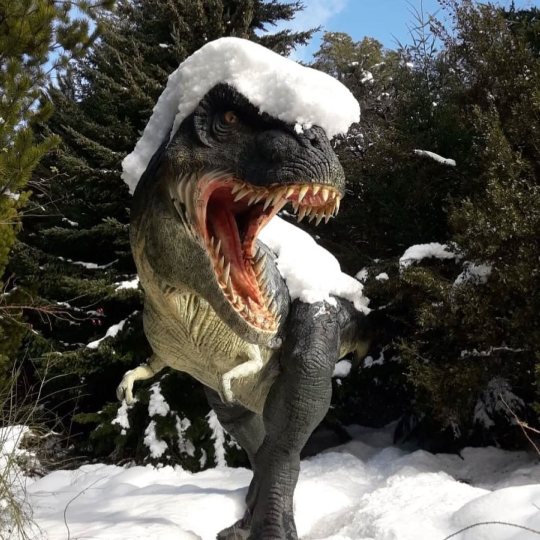 Un bosque de gigantes en Bariloche: dinosaurios en la nieve y un paseo ...