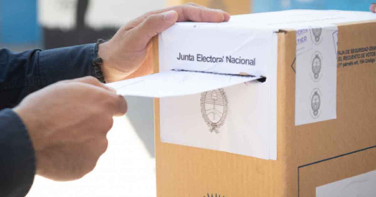 Elecciones 2025 Qué Se Vota Este Domingo 26 De Octubre En Neuquén Y 1038