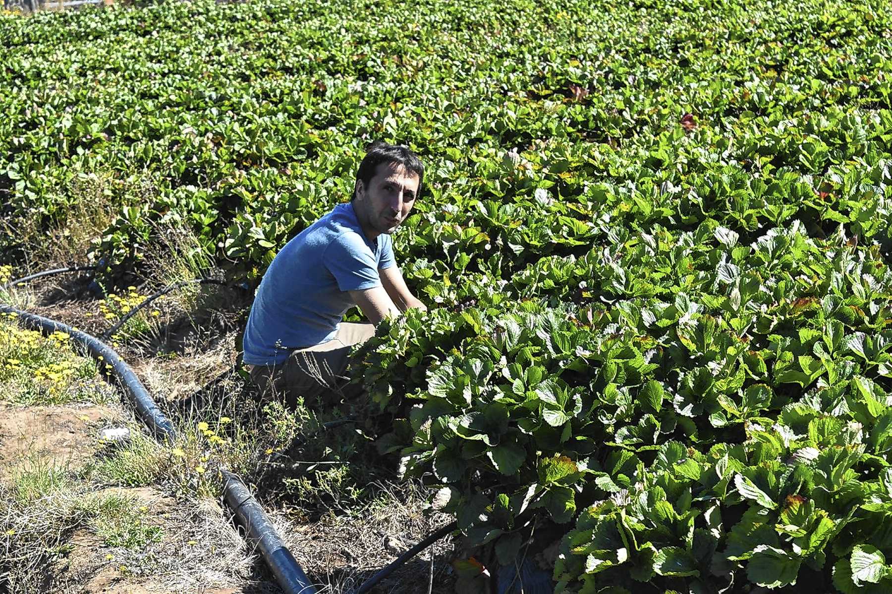 De Conicet Bariloche al país: Lucas Garibaldi fue reconocido por su ...