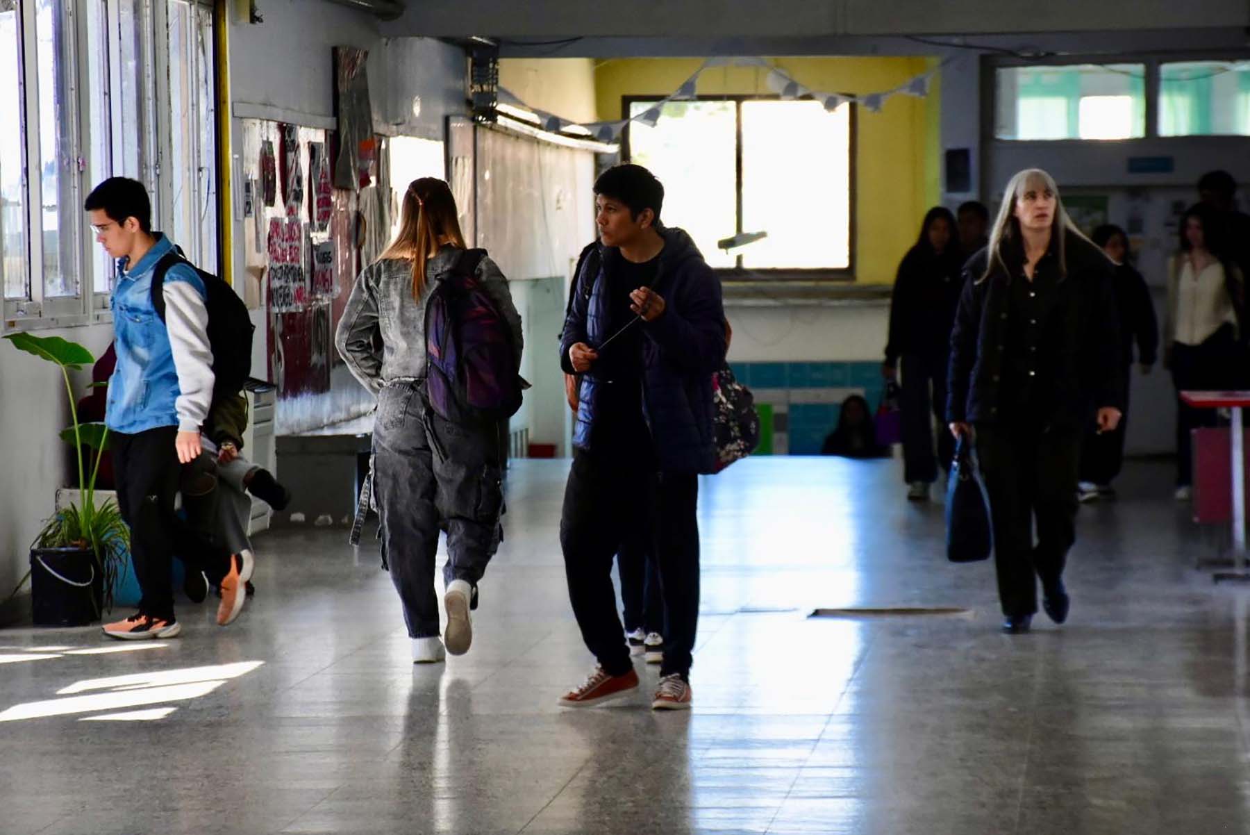 Desde la Universidad del Comahue a América Latina: el programa de ...