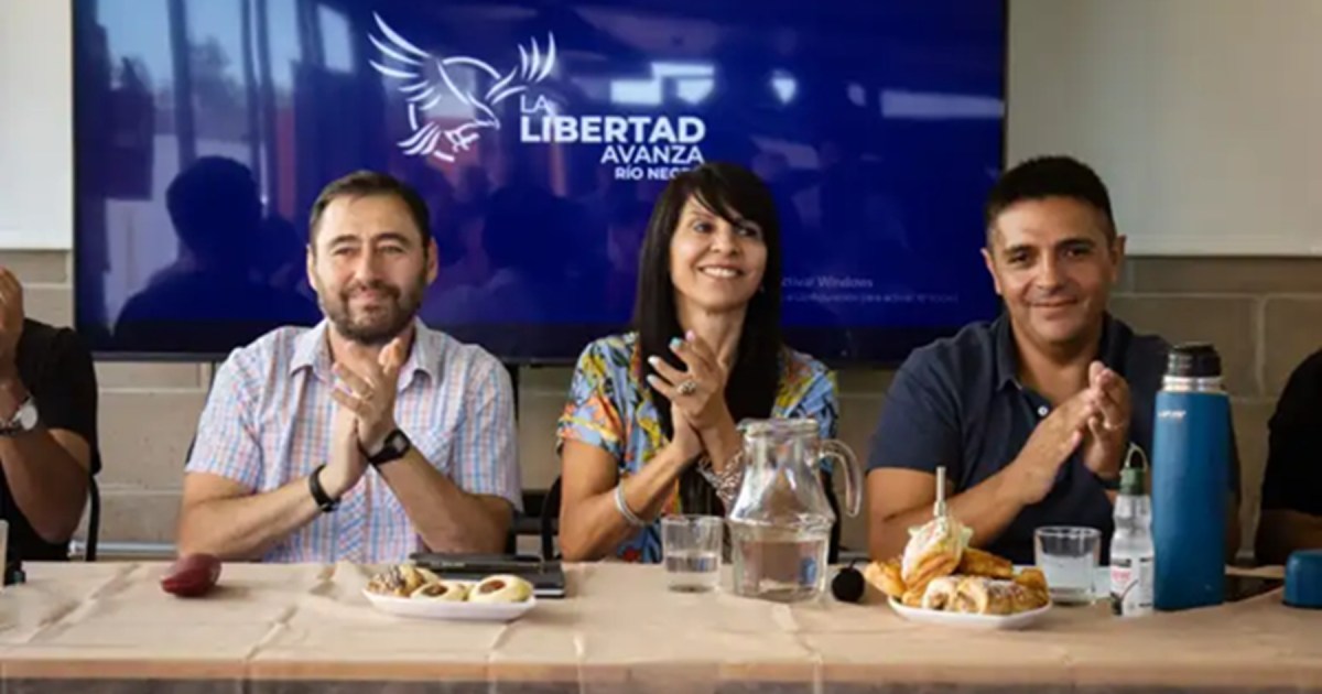 Marcelo Román y la crisis en Allen: La Libertad Avanza de Río Negro se ...