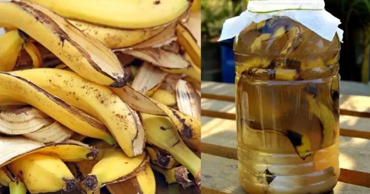 Los beneficios de mezclar cáscara de banana con vinagre: ¿para qué se ...