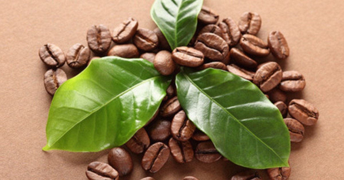 Luna lim erome stunning provider with an even more