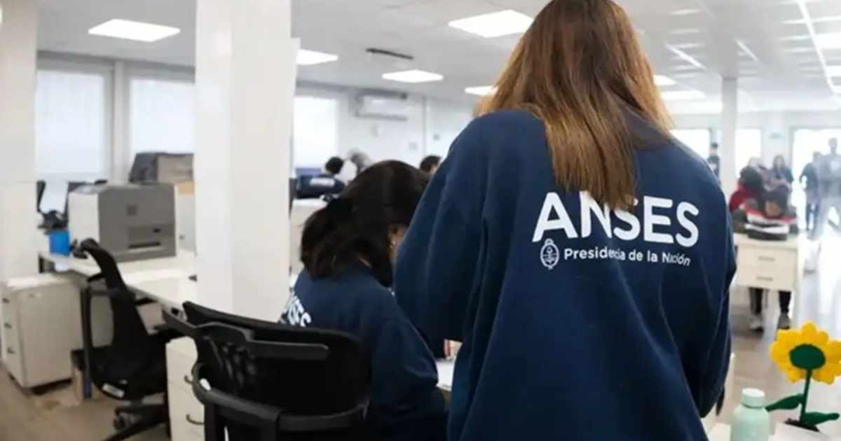 PNC por invalidez: lo que debes saber sobre la revalidación y las auditorías de ANSES - Diario ...