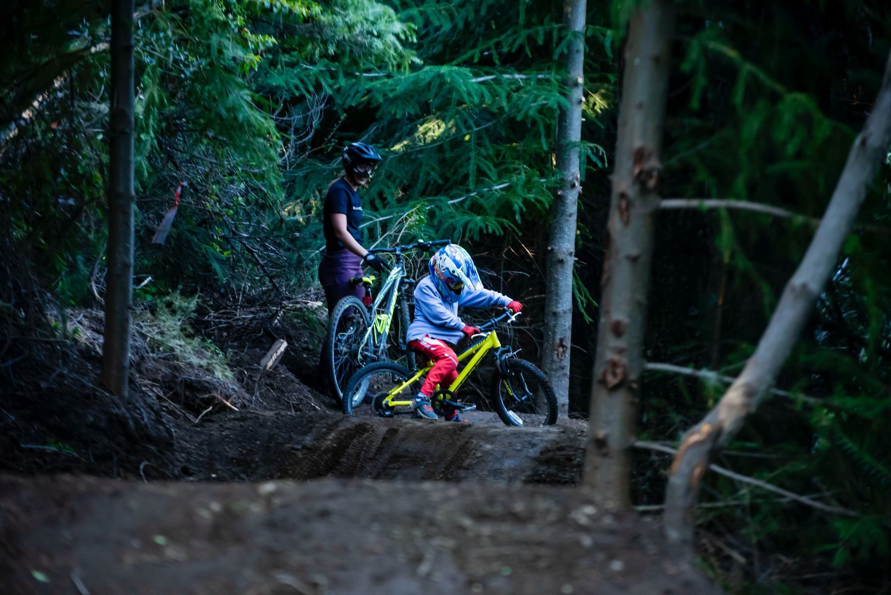 Parque Cerro Lindo en Bariloche: senderos, MTB y naturaleza a un ...