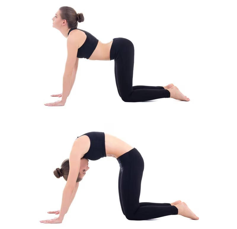 Postura del gato: el ejercicio de yoga de cinco minutos que fortalece ...