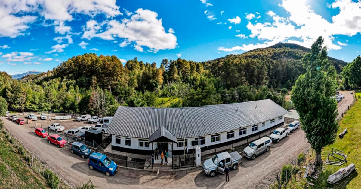 «Es prioridad»: Avances en Neuquén para impulsar a la Educación ...