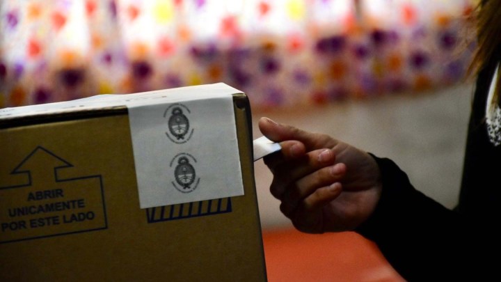 Elecciones 2025: cuál es el sitio web oficial para conocer los ...