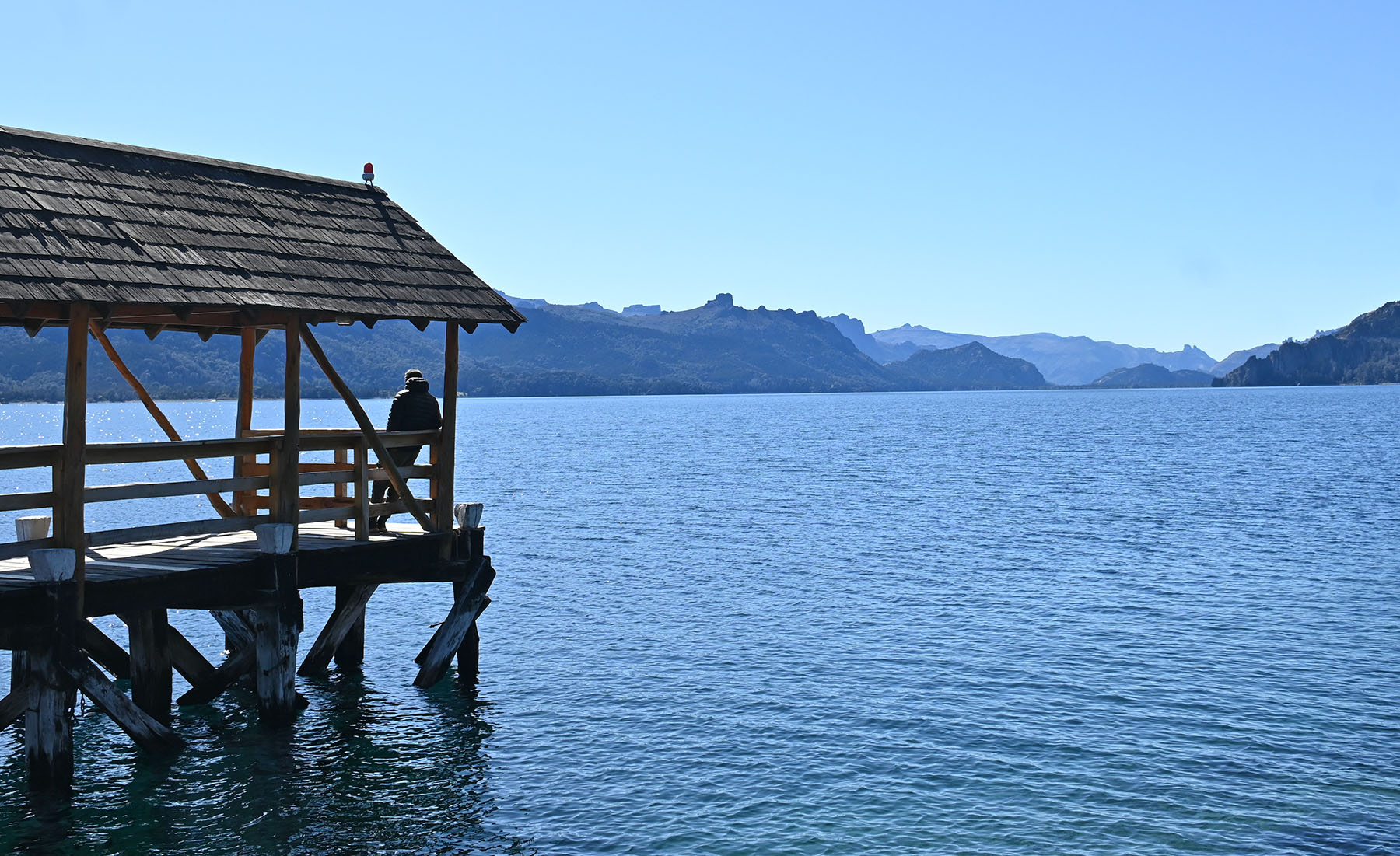 Los áboles que duermen bajo el agua fría del Lago Traful: un paseo por ...
