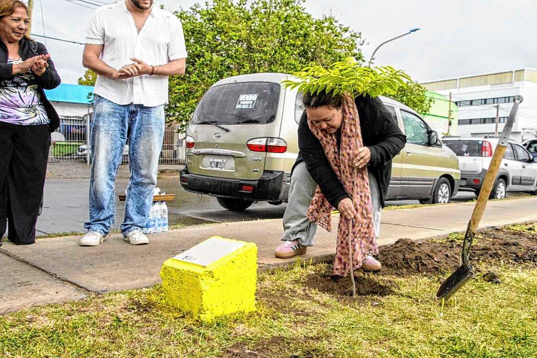 El paseo de las Abuelas de Plaza de Mayo tiene un árbol por el Nieto ...