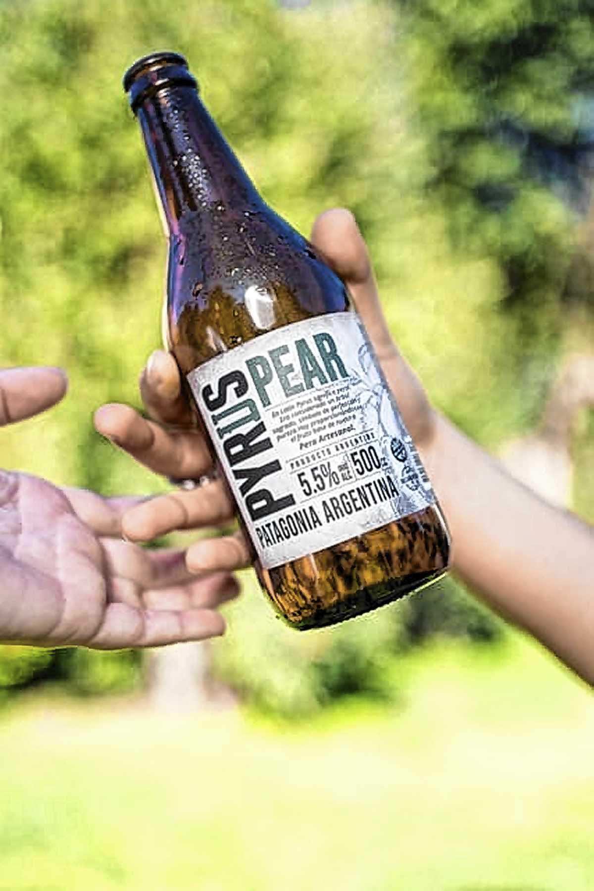 Festival de la Sidra 2025: Conocé los distintos sabores que podrás ...