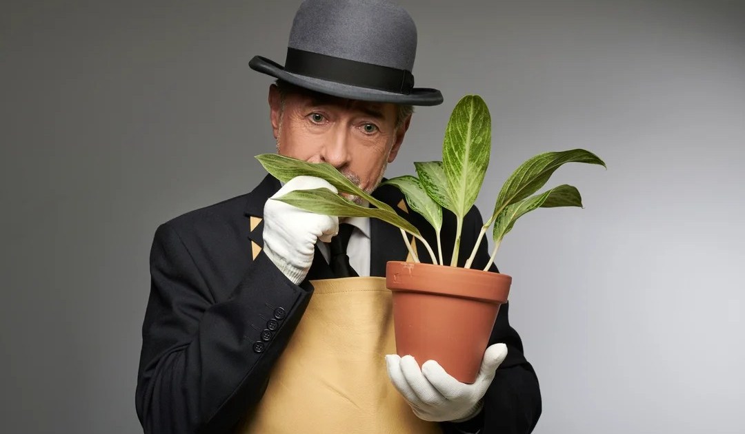 Guillermo Francella regresa al teatro con una comedia satírica y un ...