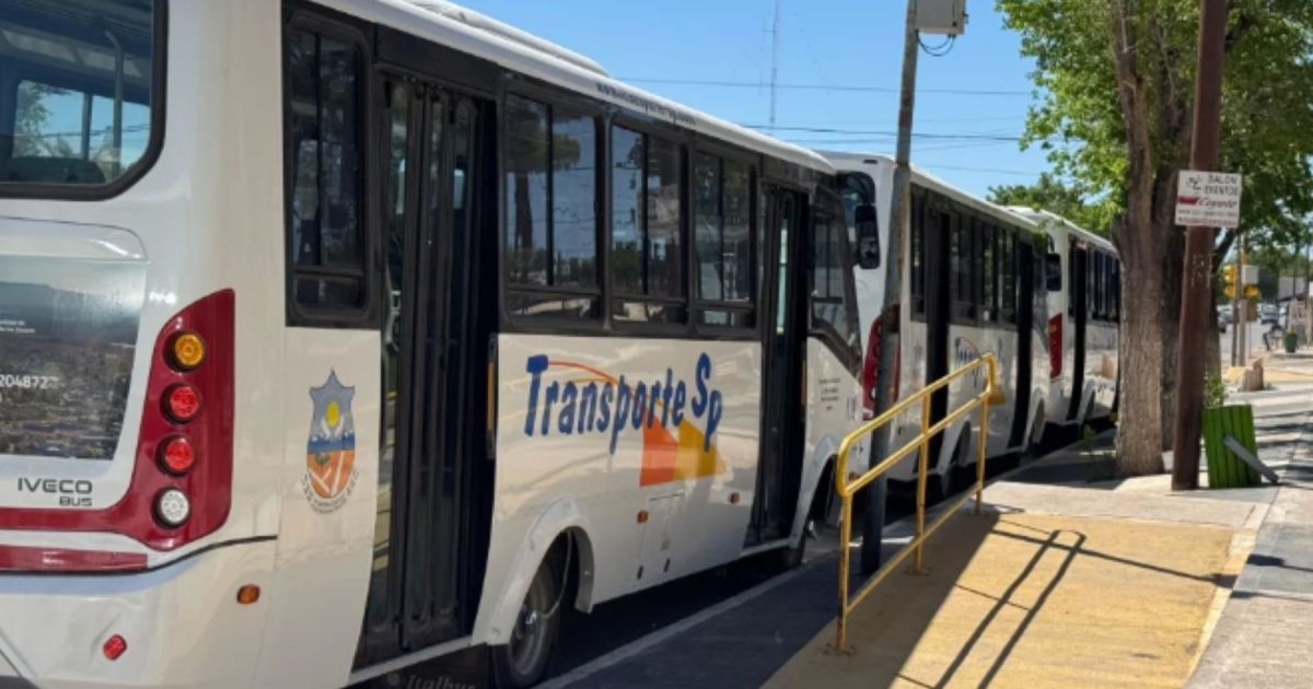Rincón de los Sauces tendrá transporte público: mapa de los recorridos ...